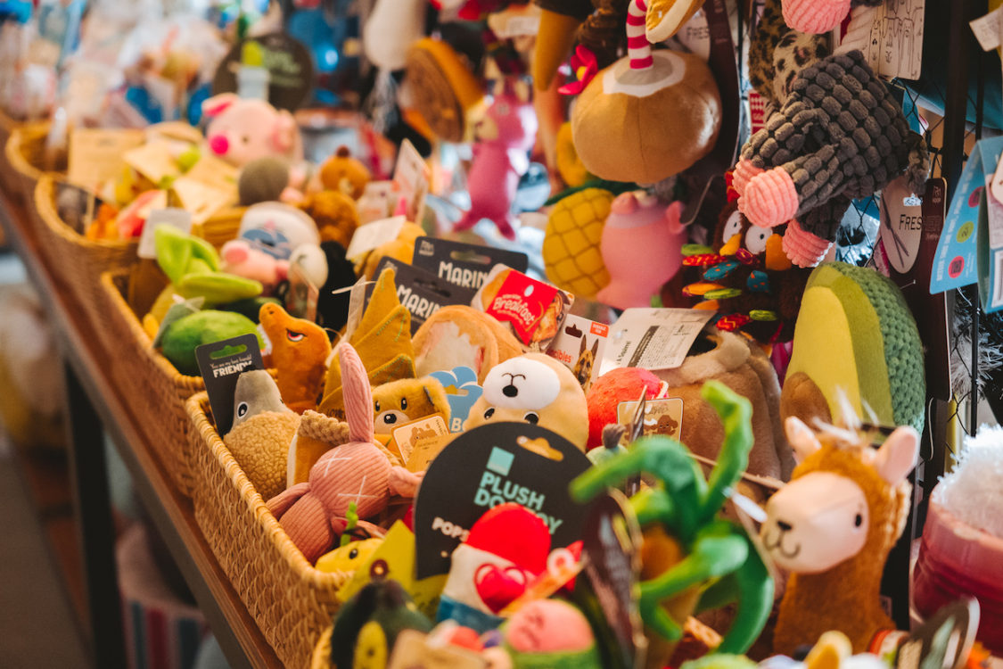 頼れる街の犬コミュニティスペース「True Blue Dog Supplies」 | Okinawa Creative Media Champlu